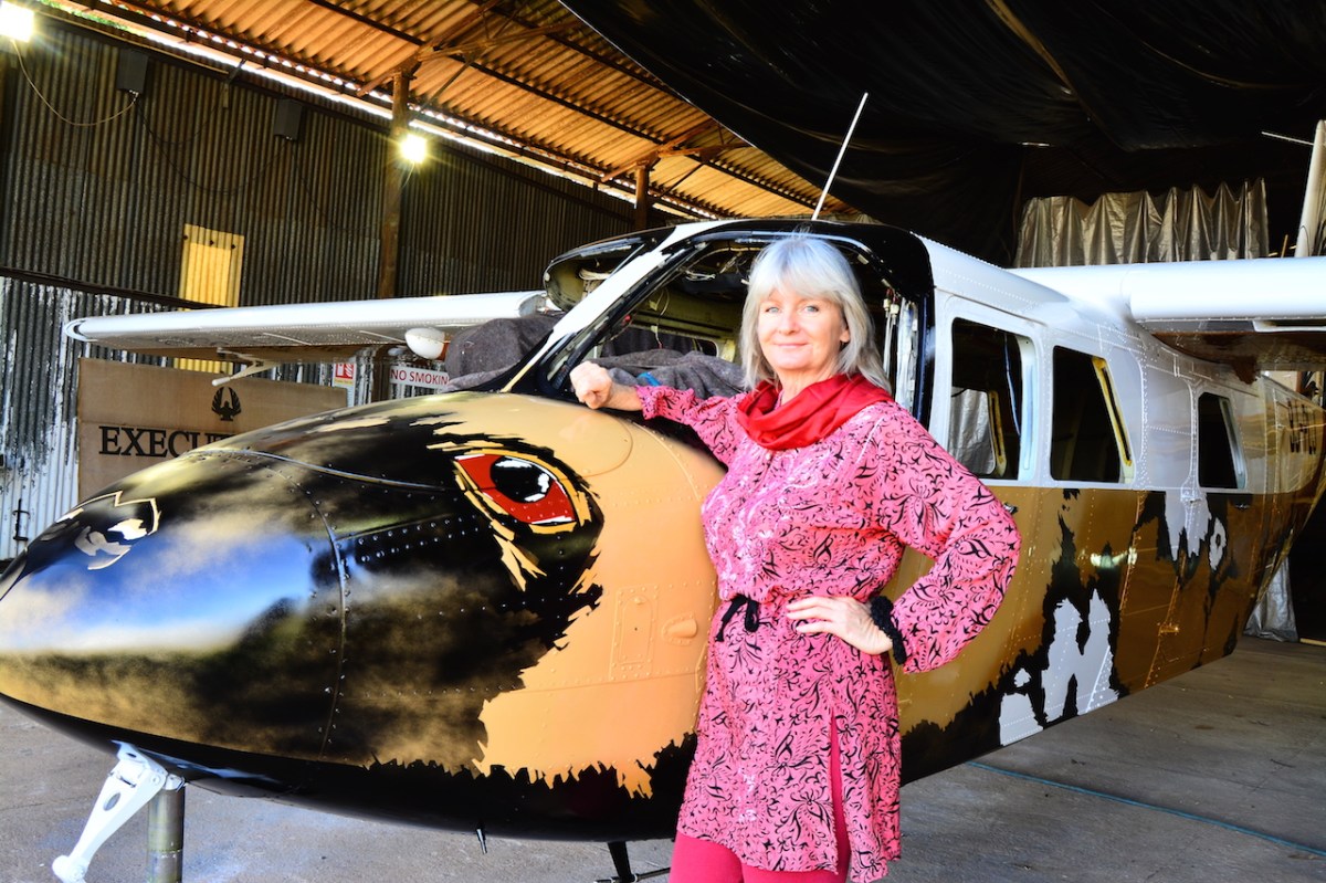 A Wild Dog takes to the air! | wine and wild dogs