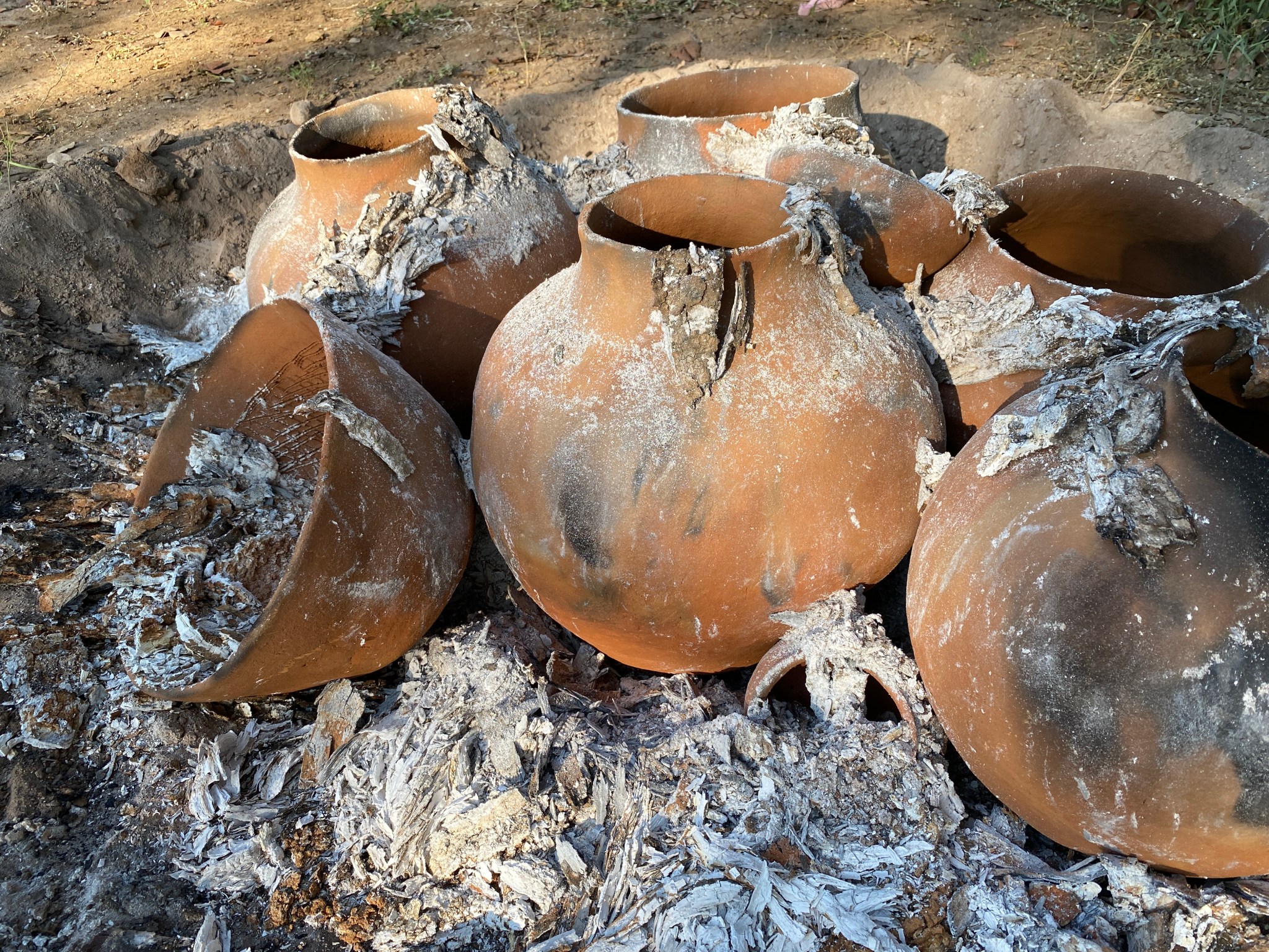 Xangana (Changana) Culture | wine and wild dogs
