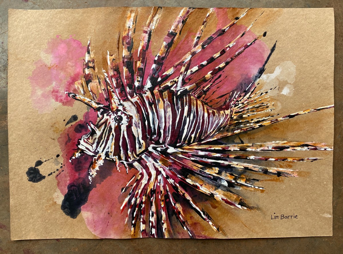 Nudibranchs meet my paintbrush; They dance and swirl like miniature ...